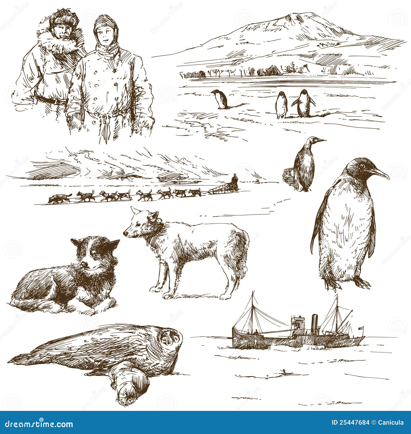 Polar explorer stock vector. Illustration of norway, detail - 25447684