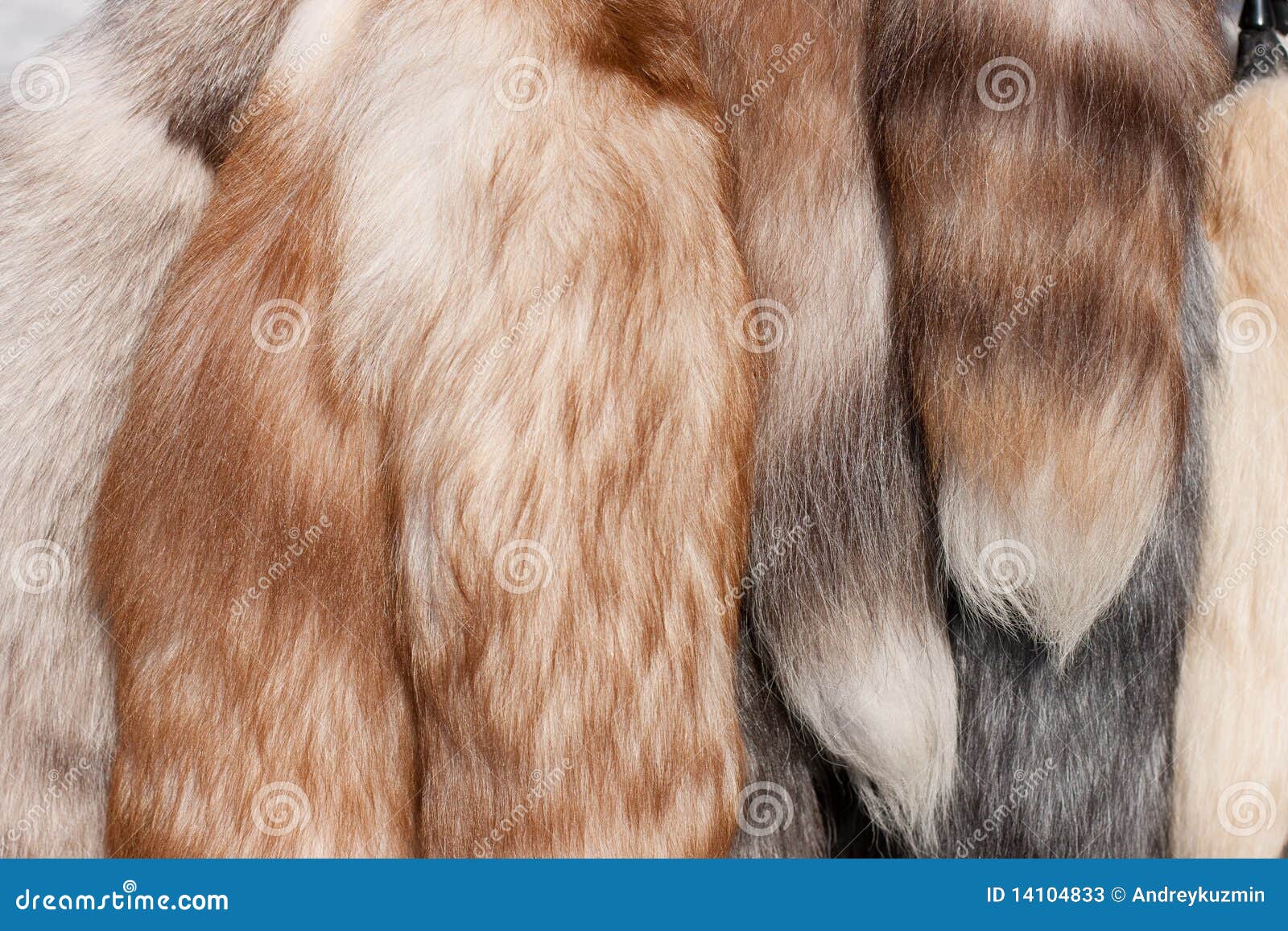 Polar Fox Fur Tails Closeup Stock Image - Image of texture, ibex: 14104833