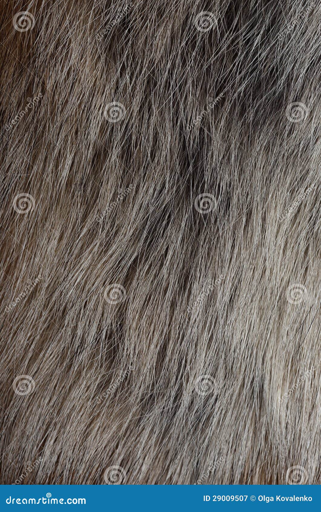 Polar fox fur texture stock image. Image of hair, decor - 29009507
