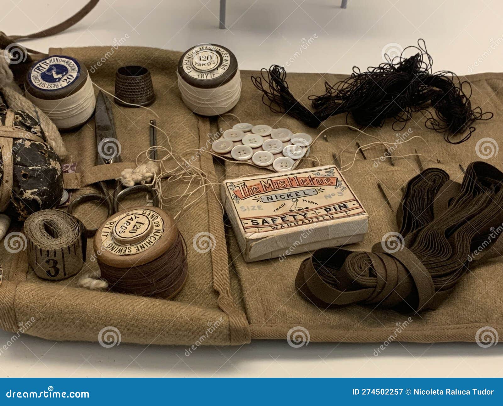 Polar Museum Cambridge Presents a Range of Objects, Artworks, Documents ...