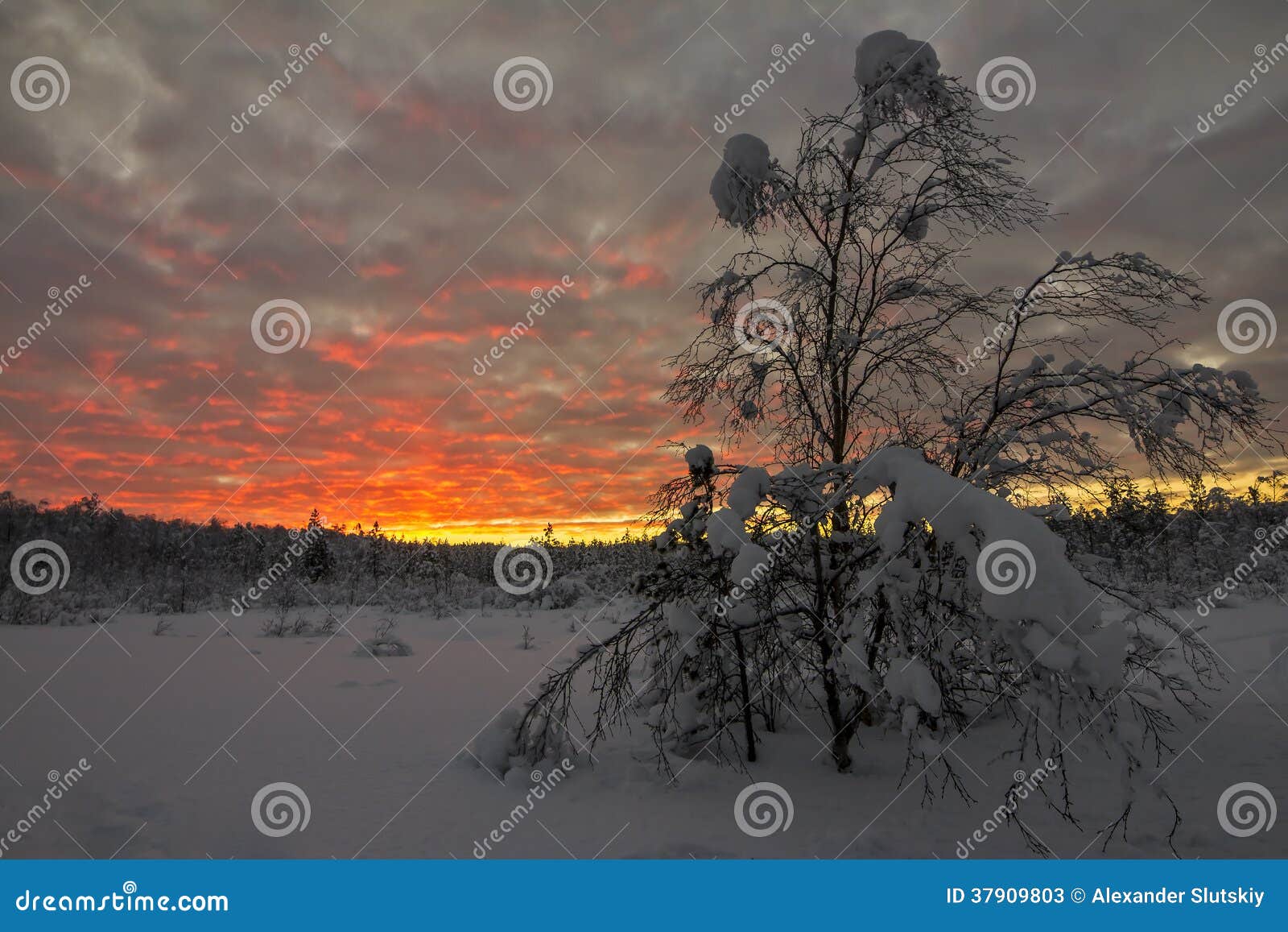 Polar sunset stock image. Image of arctic, outdoor, purity - 37909803