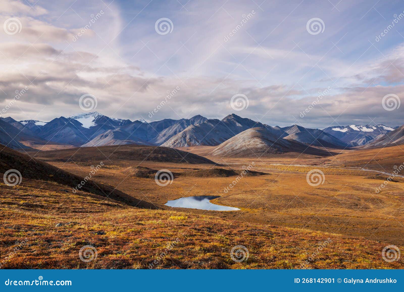 Polar tundra stock image. Image of moss, polar, road - 268142901