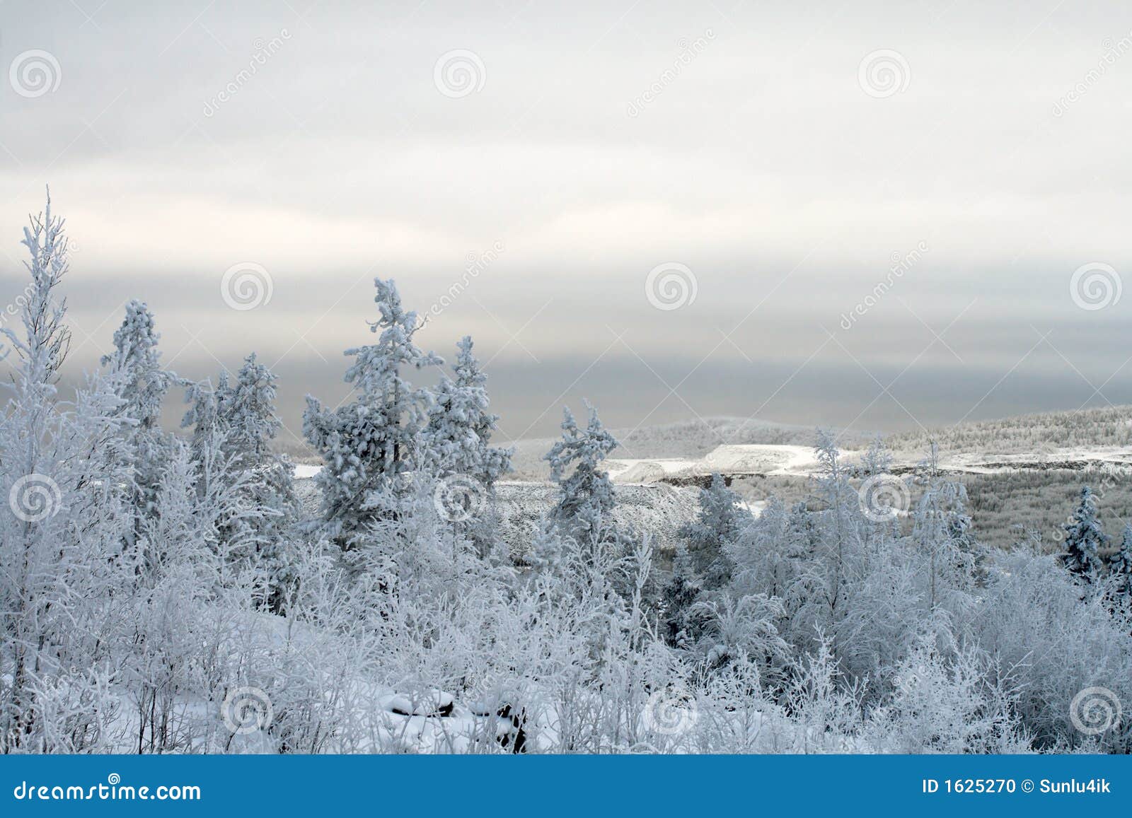 Polar Winter landscape stock photo. Image of december - 1625270