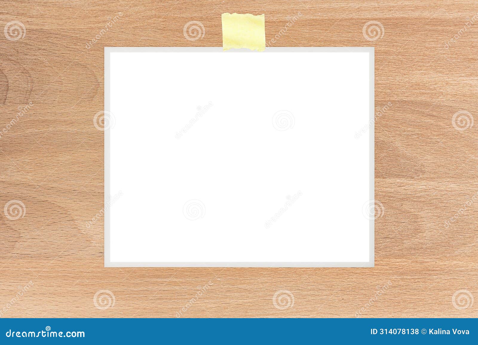 A Polaroid Card Blank On The Png Backgrounds.polaroid Card Blank On The ...