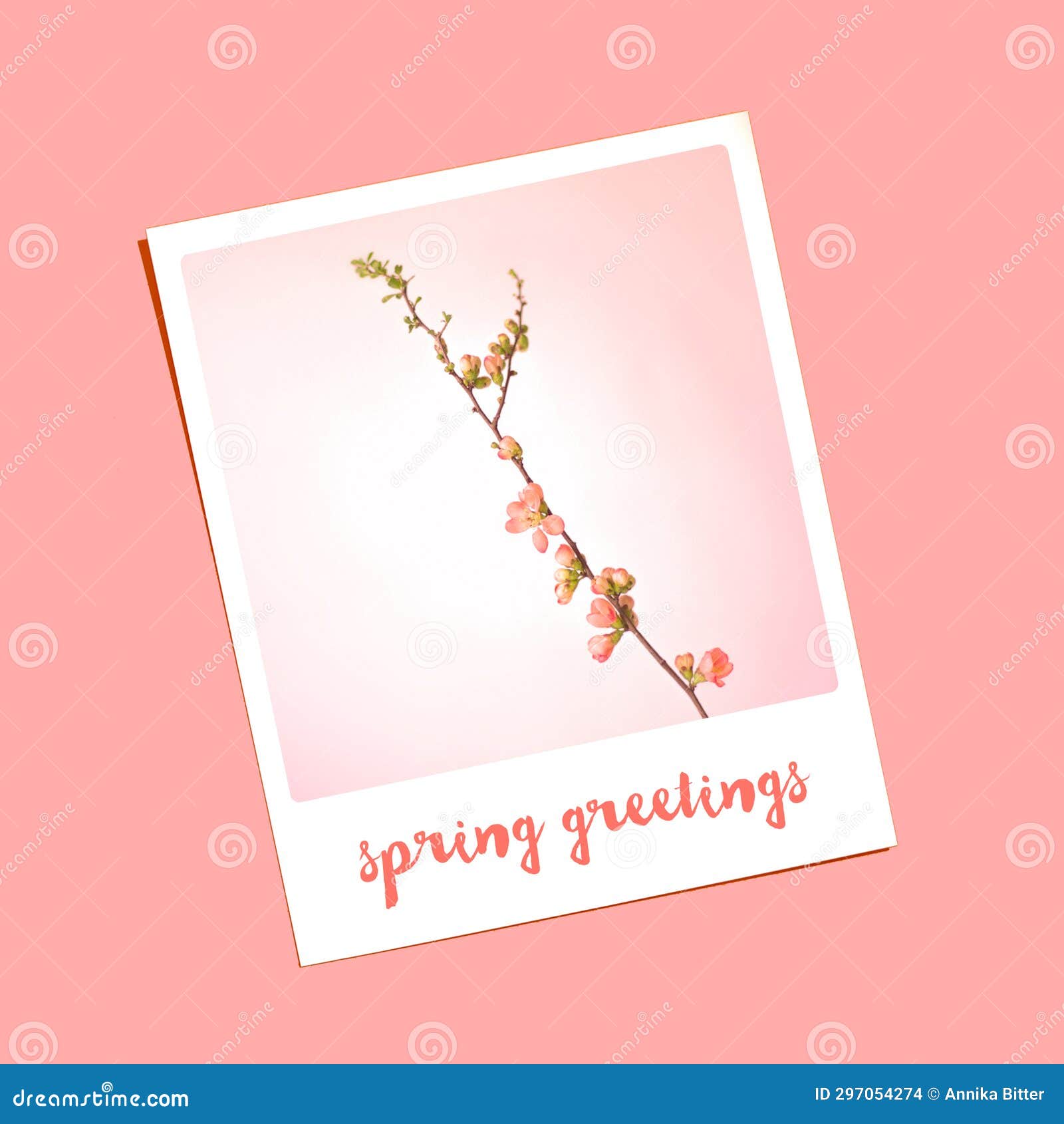 Polaroid in a Rose Background Stock Photo - Image of spring, branch ...