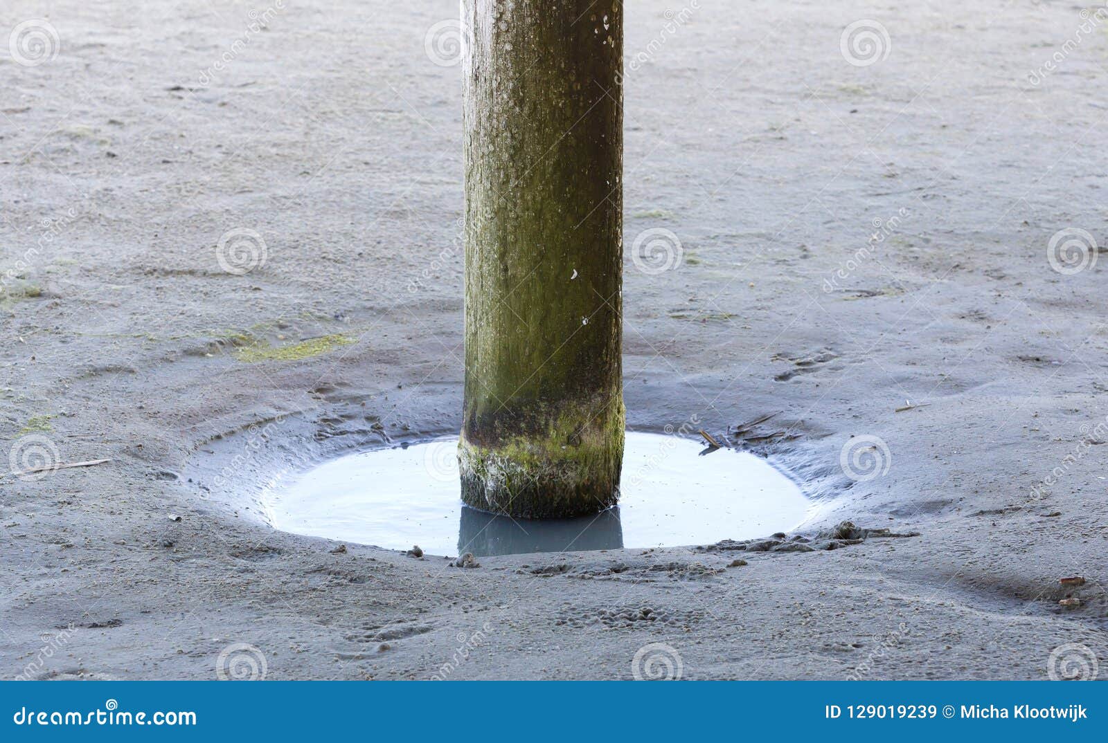 Pole on the beach stock image. Image of water, landscape - 129019239