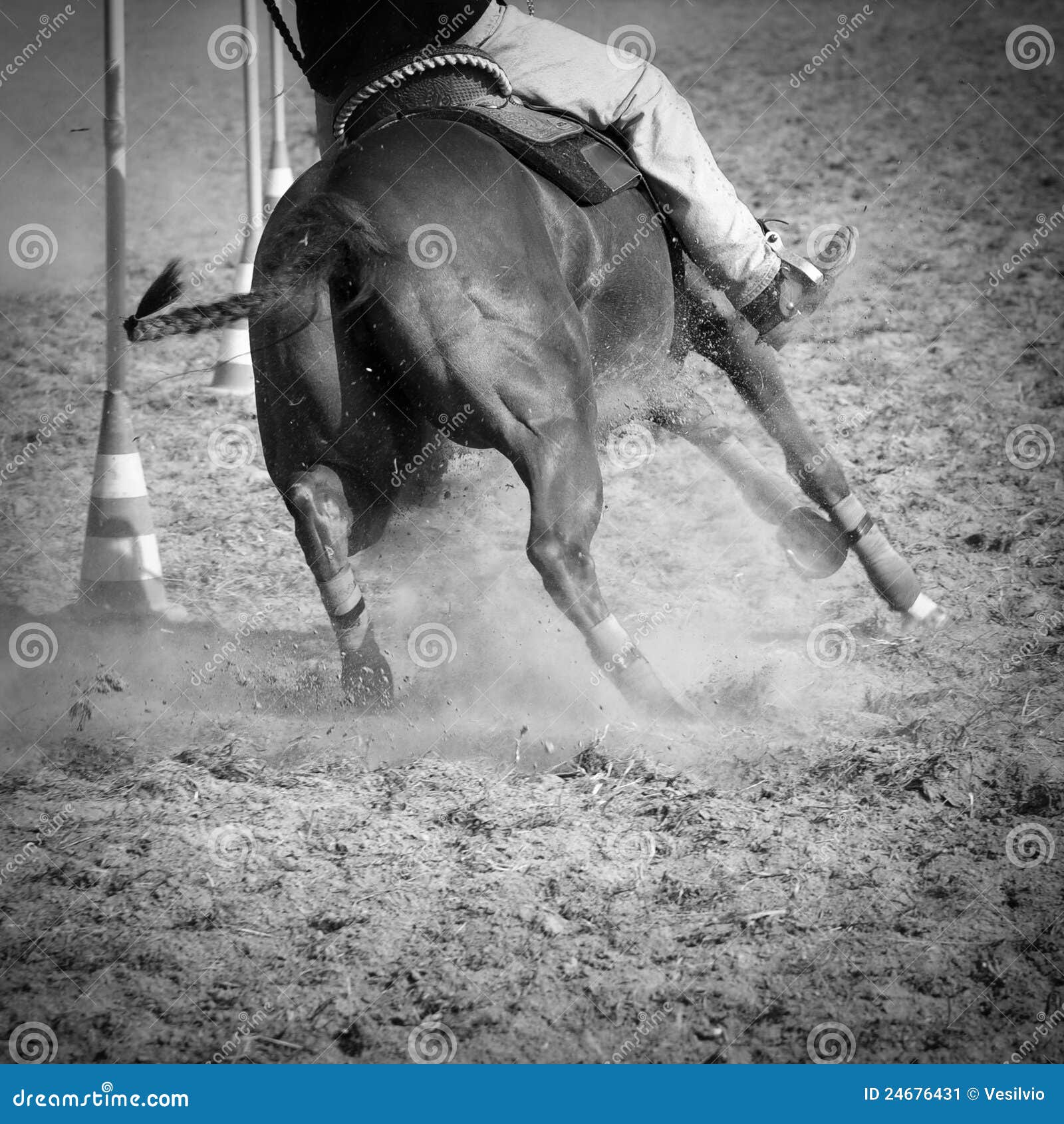 Pole bending stock image. Image of white, power, action - 24676431