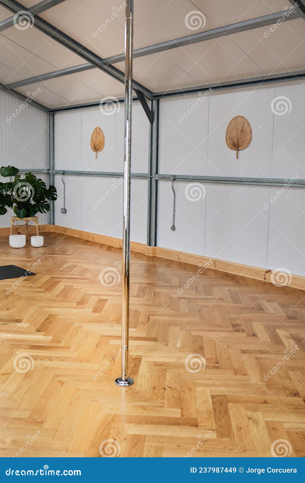 Pole Dance Studio without People. Dance Bar in Vertical Format Stock ...