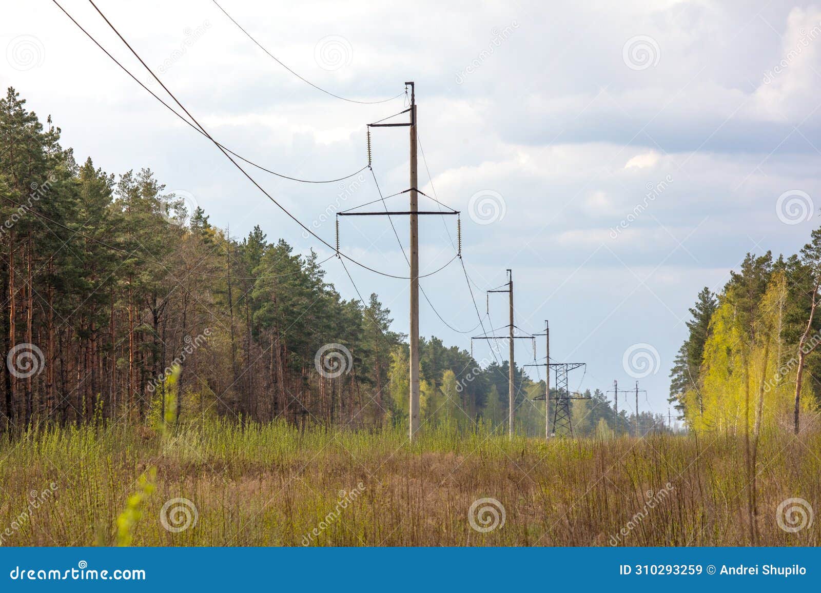 Pole with Electric Wires Near the Forest Stock Image - Image of ...