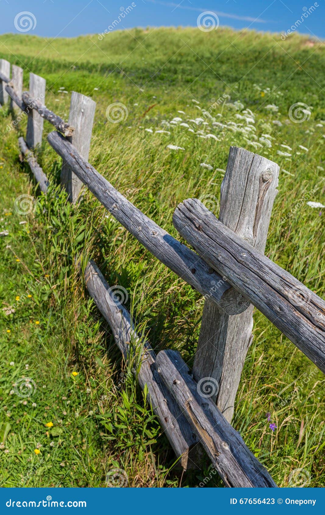Pole Fence stock image. Image of canada, rural, plant - 67656423