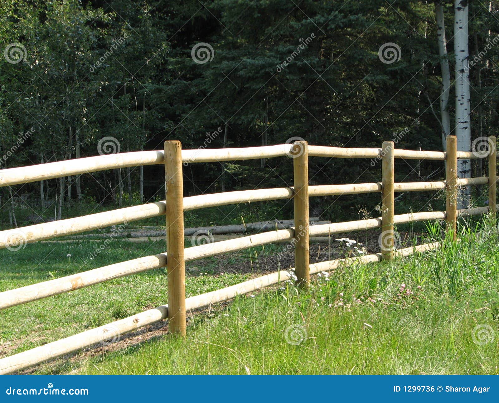 Pole Fenceline Royalty-Free Stock Image | CartoonDealer.com #1299736