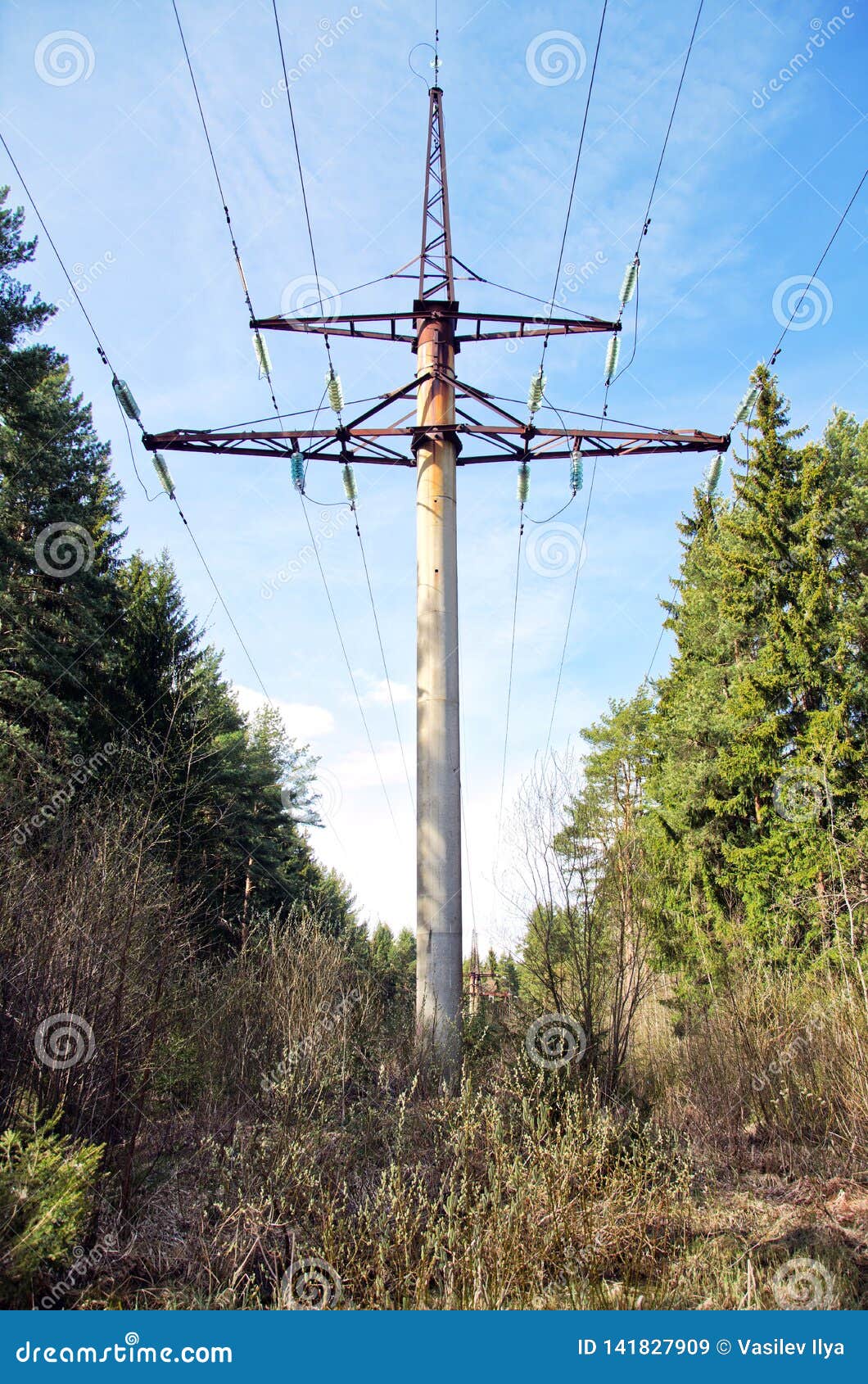 Pole of High-voltage Power Transmission Line on Forest Clearing Stock ...
