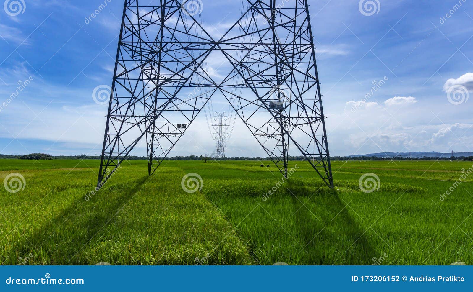 Pole in Rice Fields stock photo. Image of voltage, pole - 173206152