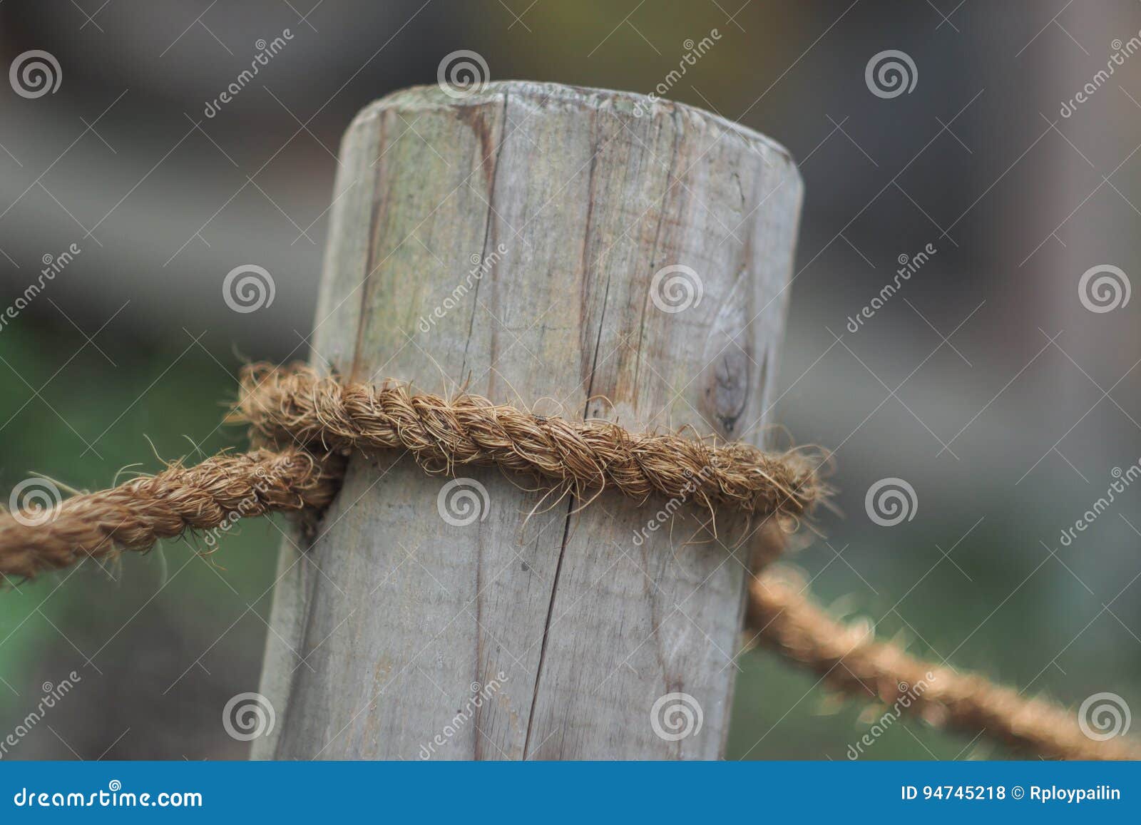 Pole rope with timber stock photo. Image of garden, nature - 94745218