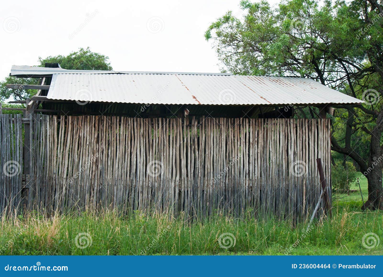 POLE SCREEN on the FRONT of an INFORMAL SHED Stock Photo - Image of ...