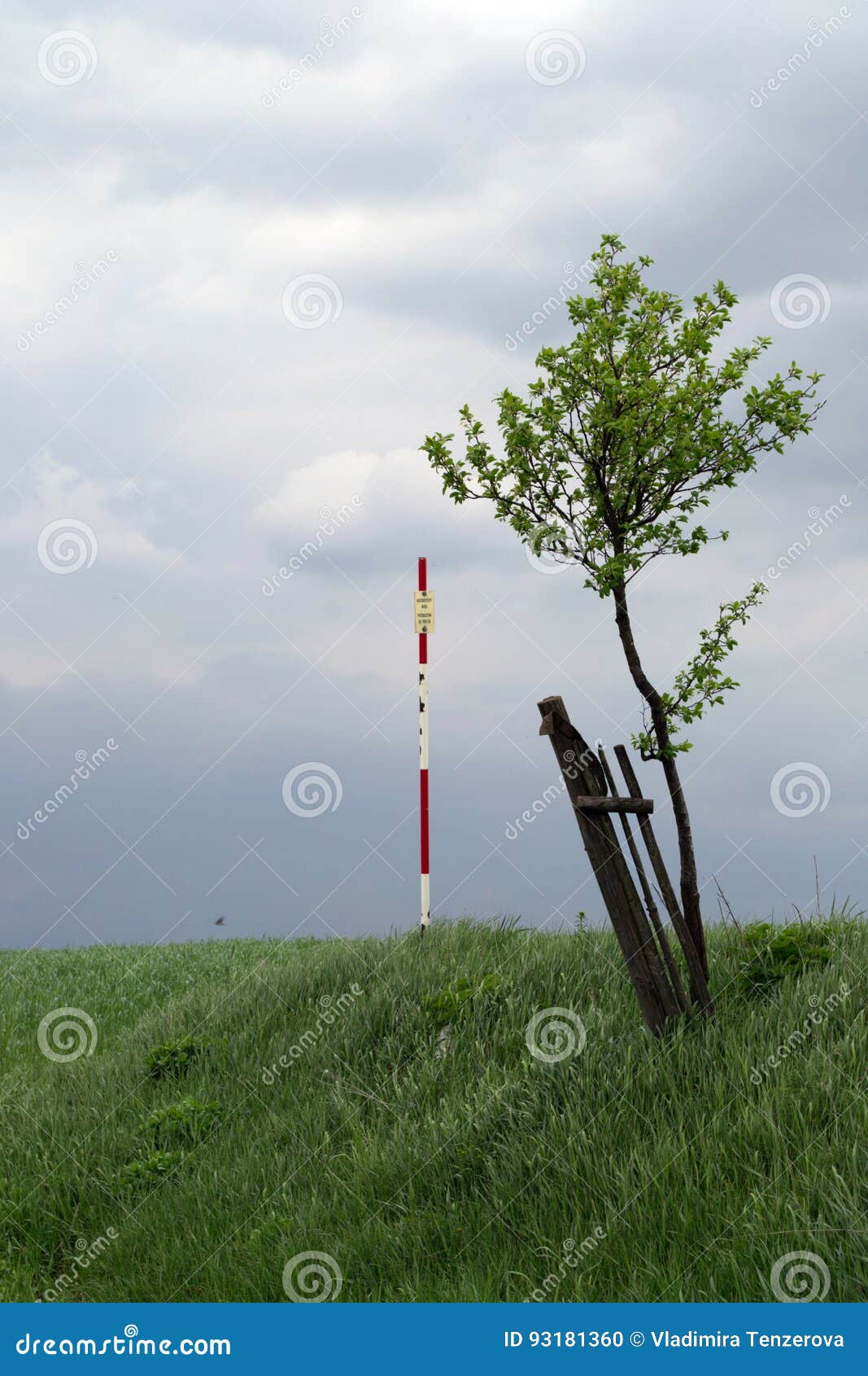 Pole and tree stock photo. Image of fence, fields, landscape - 93181360