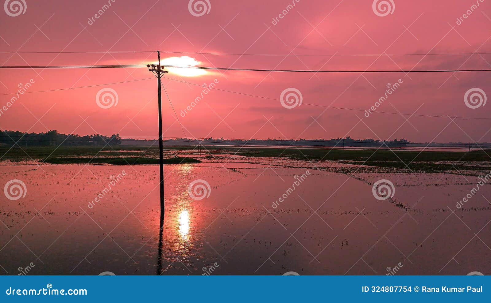 A Pole in the Water with a Light on it Stock Photo - Image of dark ...
