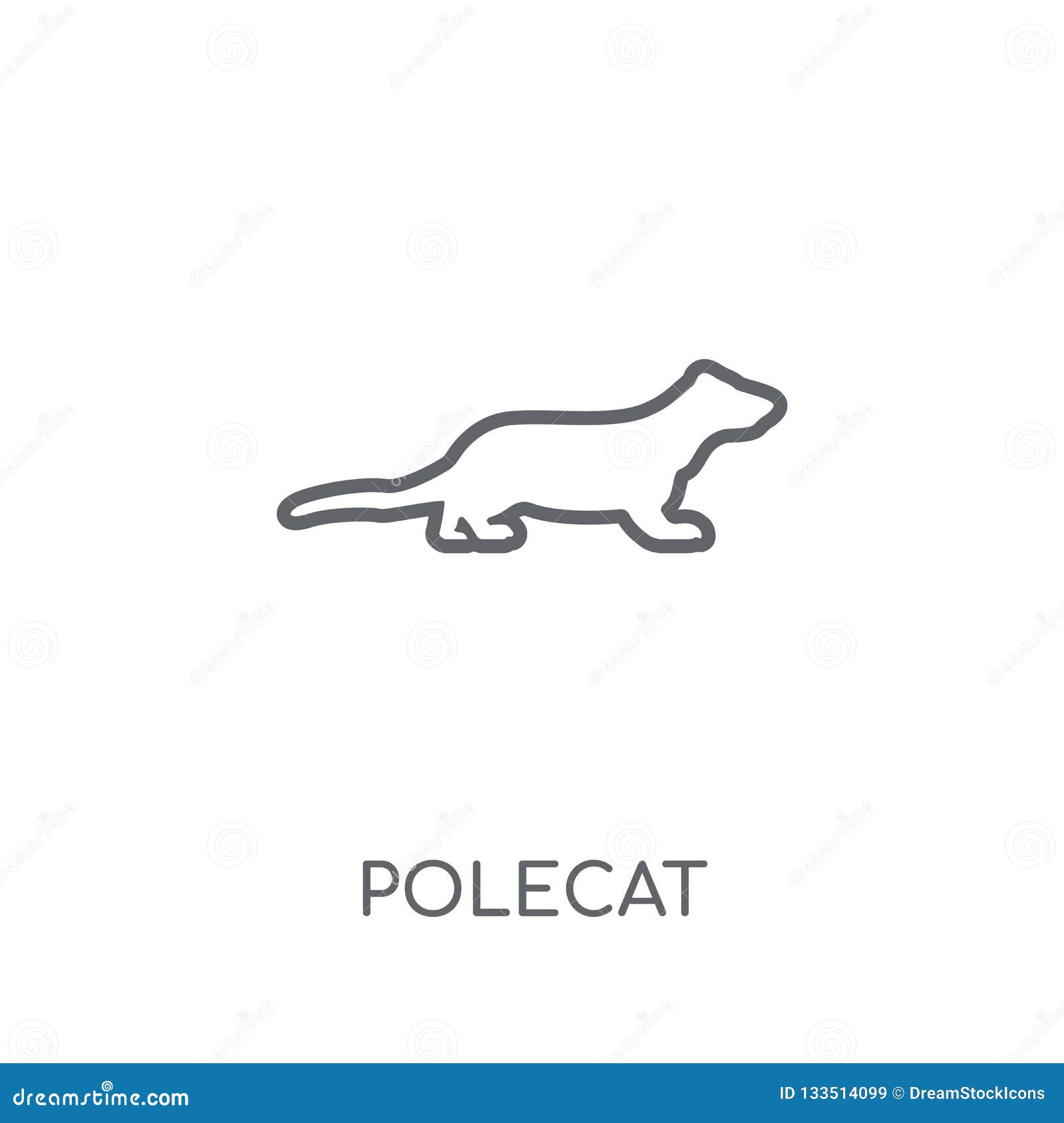 Polecat Linear Icon. Modern Outline Polecat Logo Concept On Whit ...