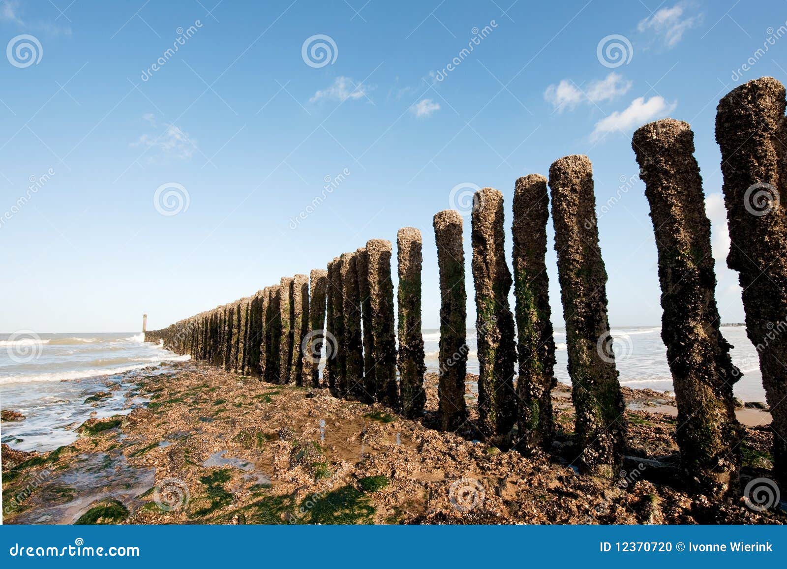 Poles at the beach stock photo. Image of sunny, horizon - 12370720