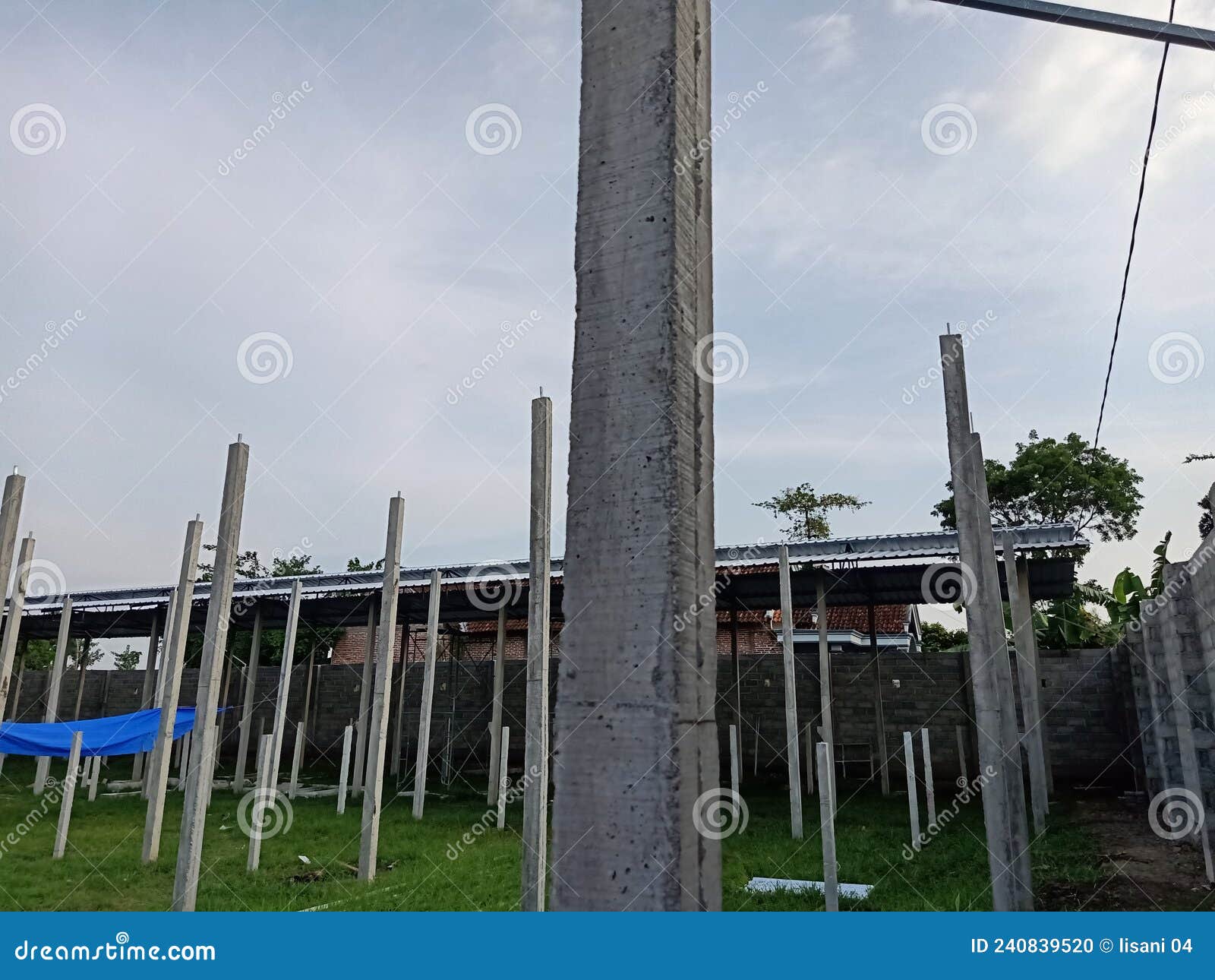 Poles for the Construction of a Chicken Coop Editorial Image - Image of ...