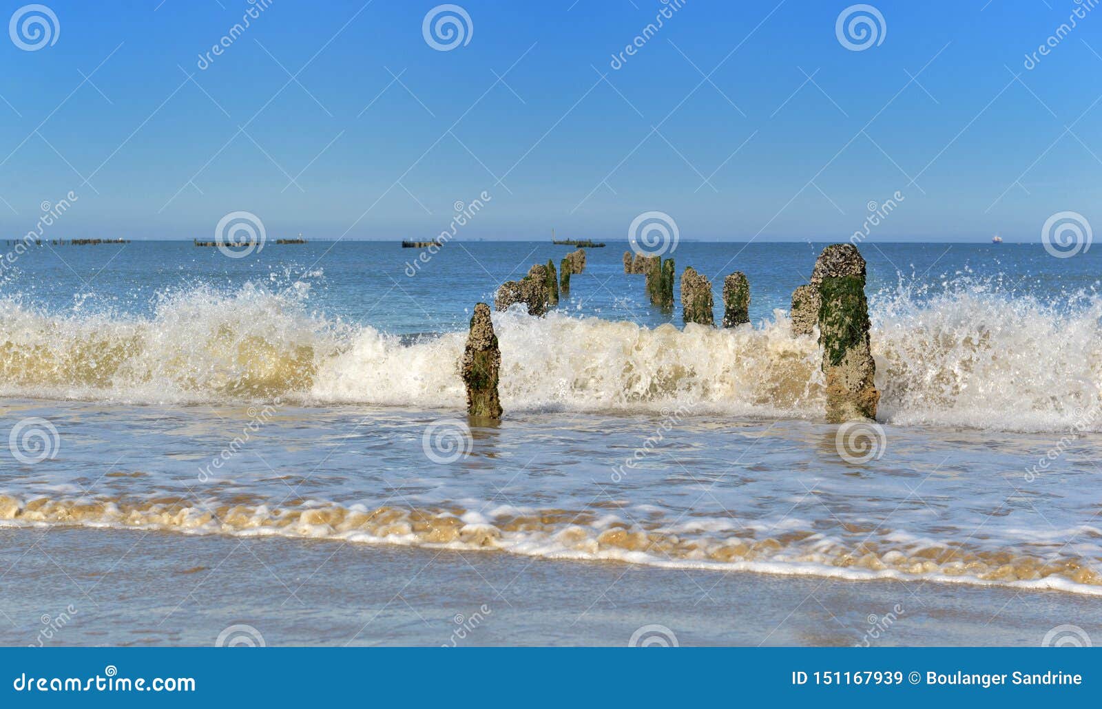Poles for Mussels Emerging in Waves at Low Tide Stock Image - Image of ...