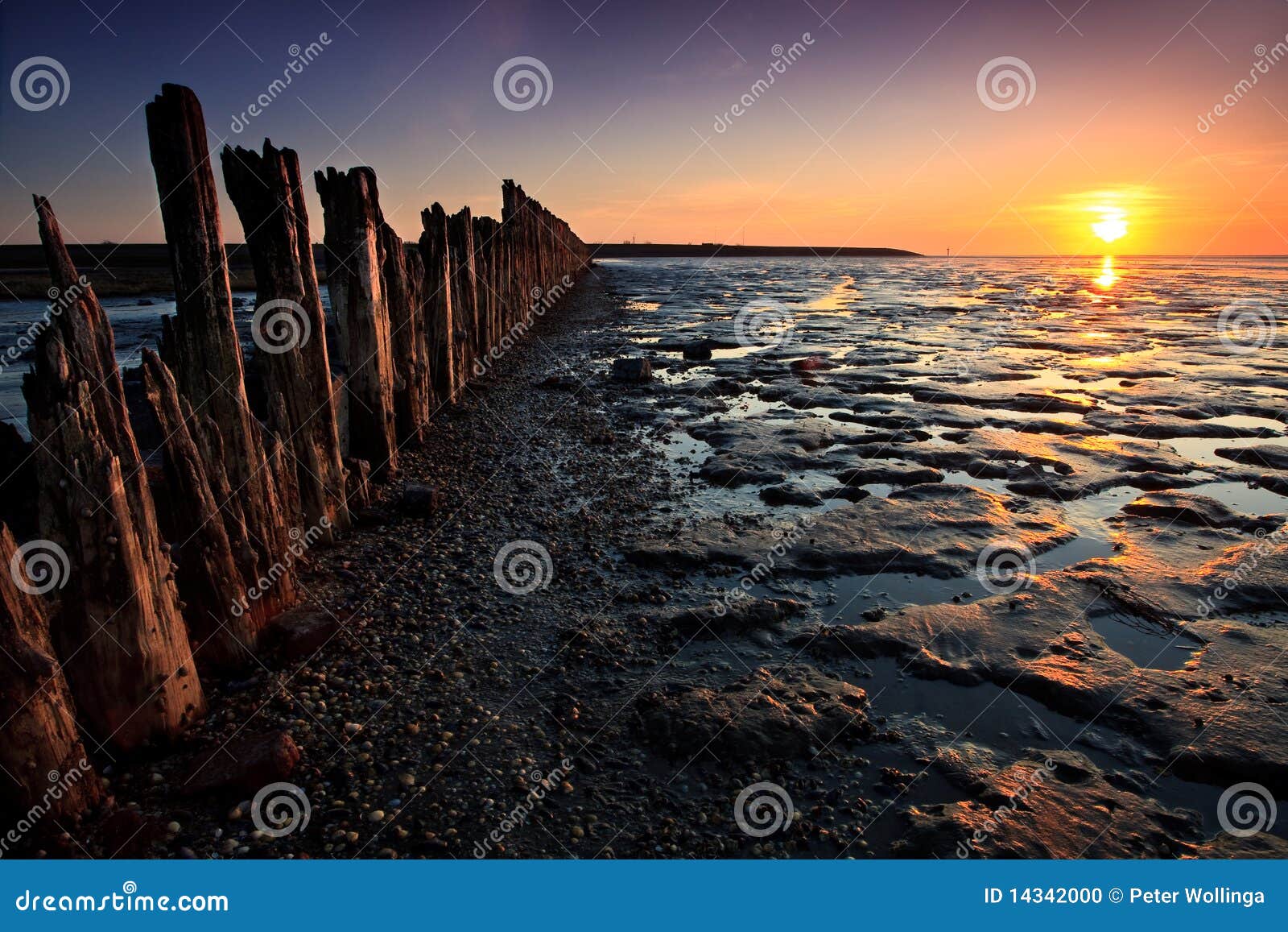 Poles in the Ocean at Sunset Stock Photo - Image of beach, landscape ...