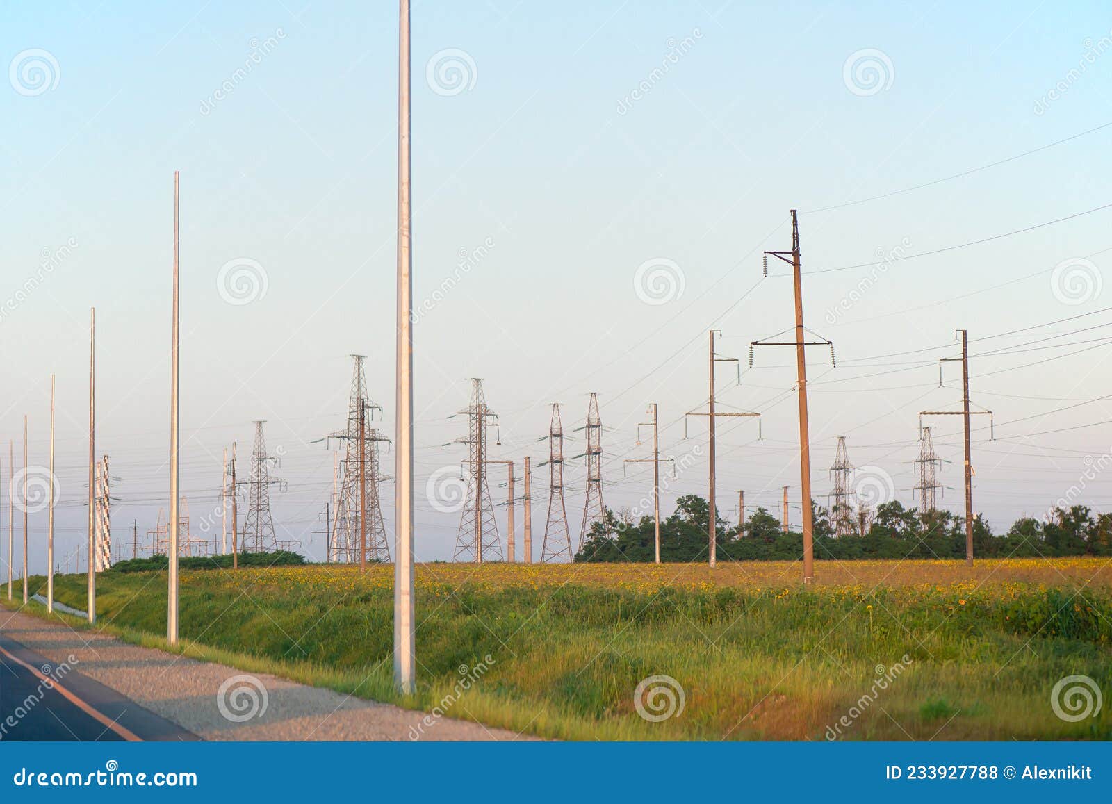 Poles and Power Lines in a Field Along an Road Stock Photo - Image of ...