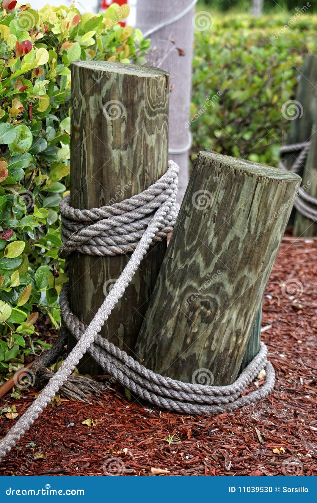 Poles with rope stock photo. Image of chips, wood, rope - 11039530