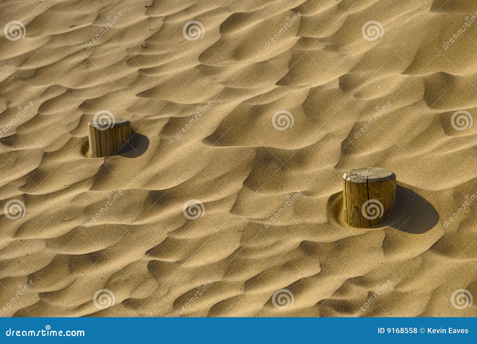 Poles in sand stock photo. Image of pole, texture, dune - 9168558