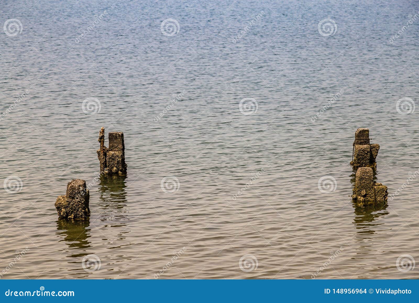 Poles in water stock photo. Image of poles, brackish - 148956964