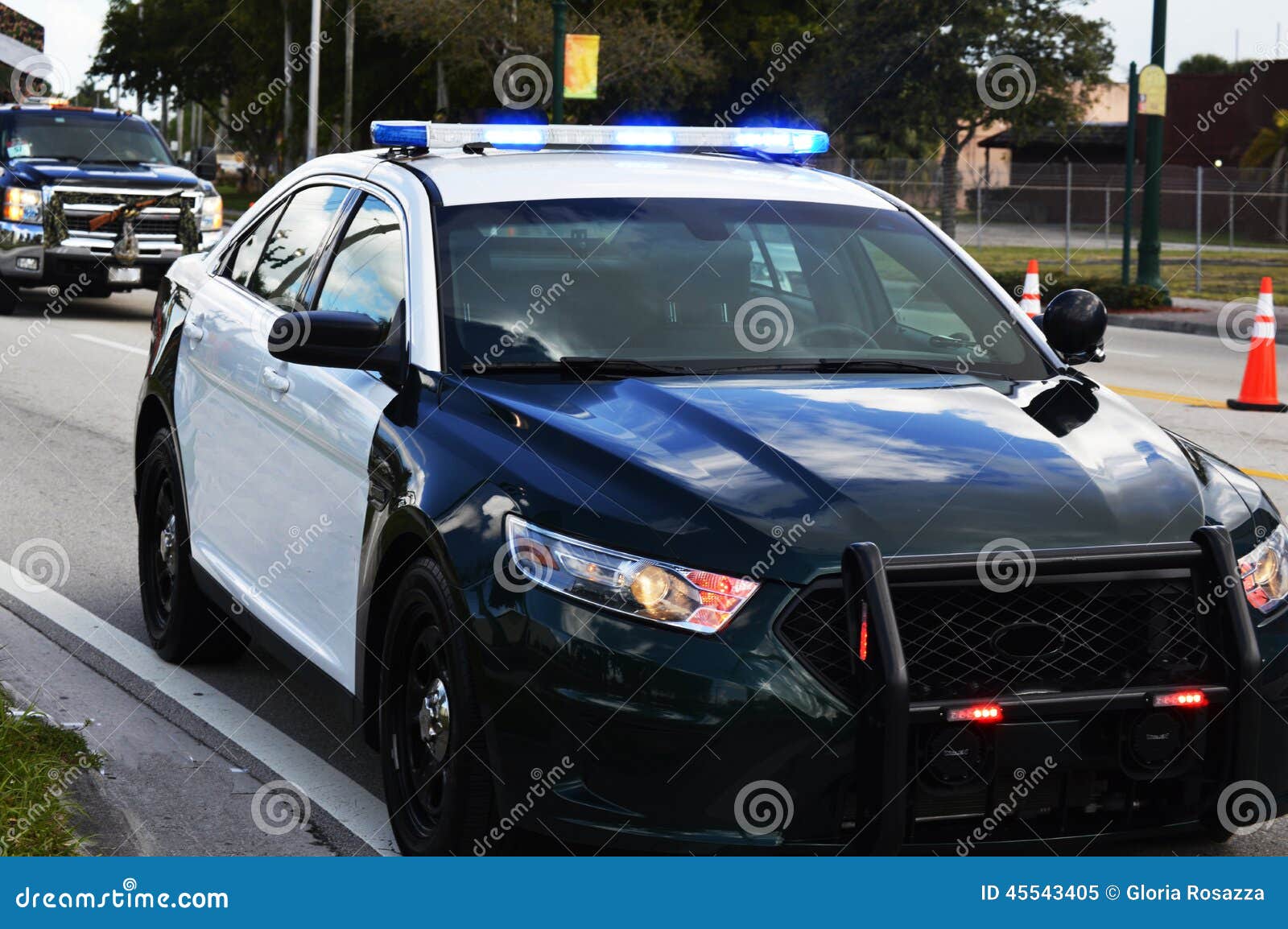 Police Car Lights on editorial image. Image of investigation - 45543405