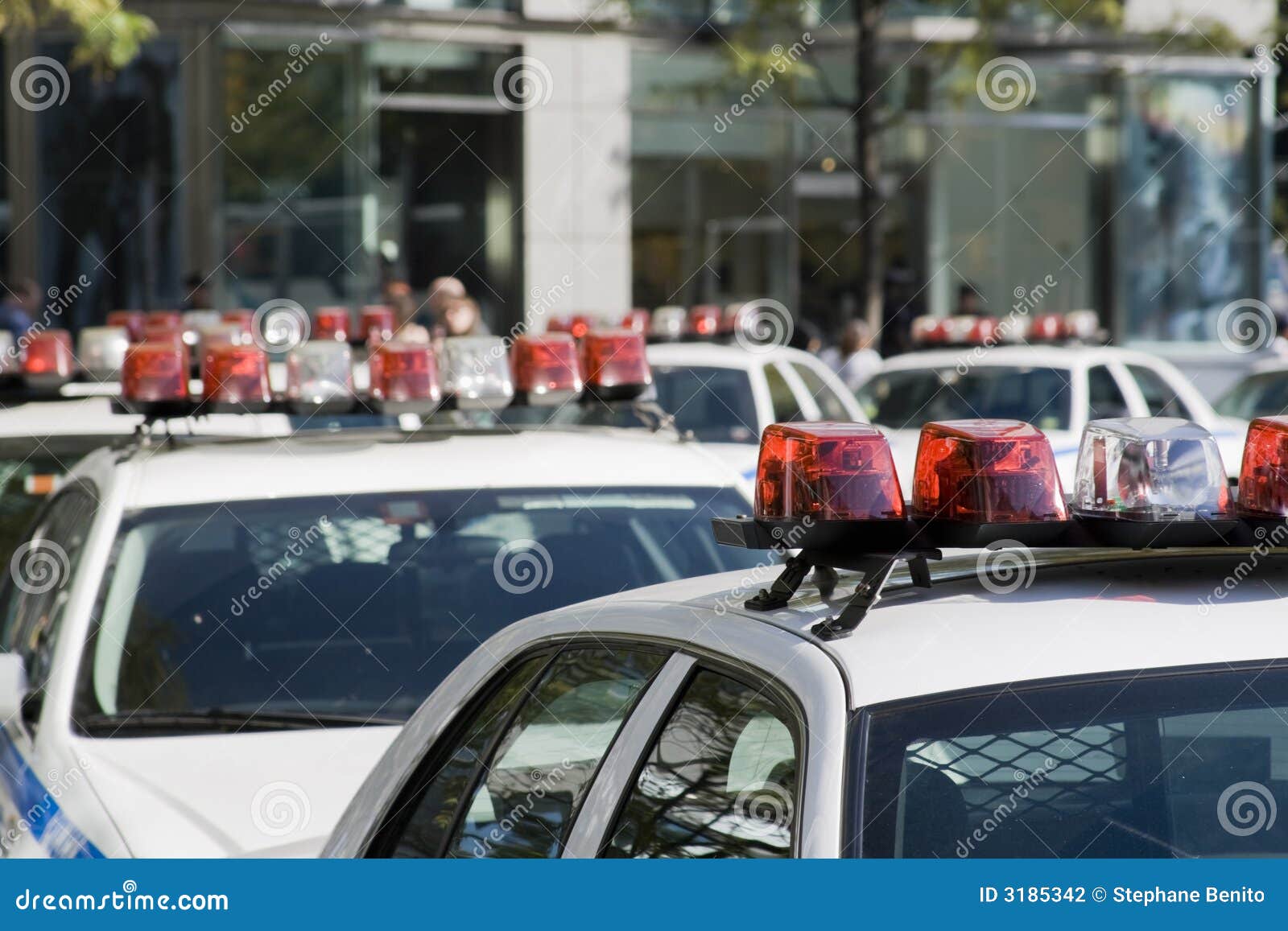 Police cars stock photo. Image of emergency, police, enforcement - 3185342 Police cars stock photo. Image of emergency, police, enforcement - 3185342