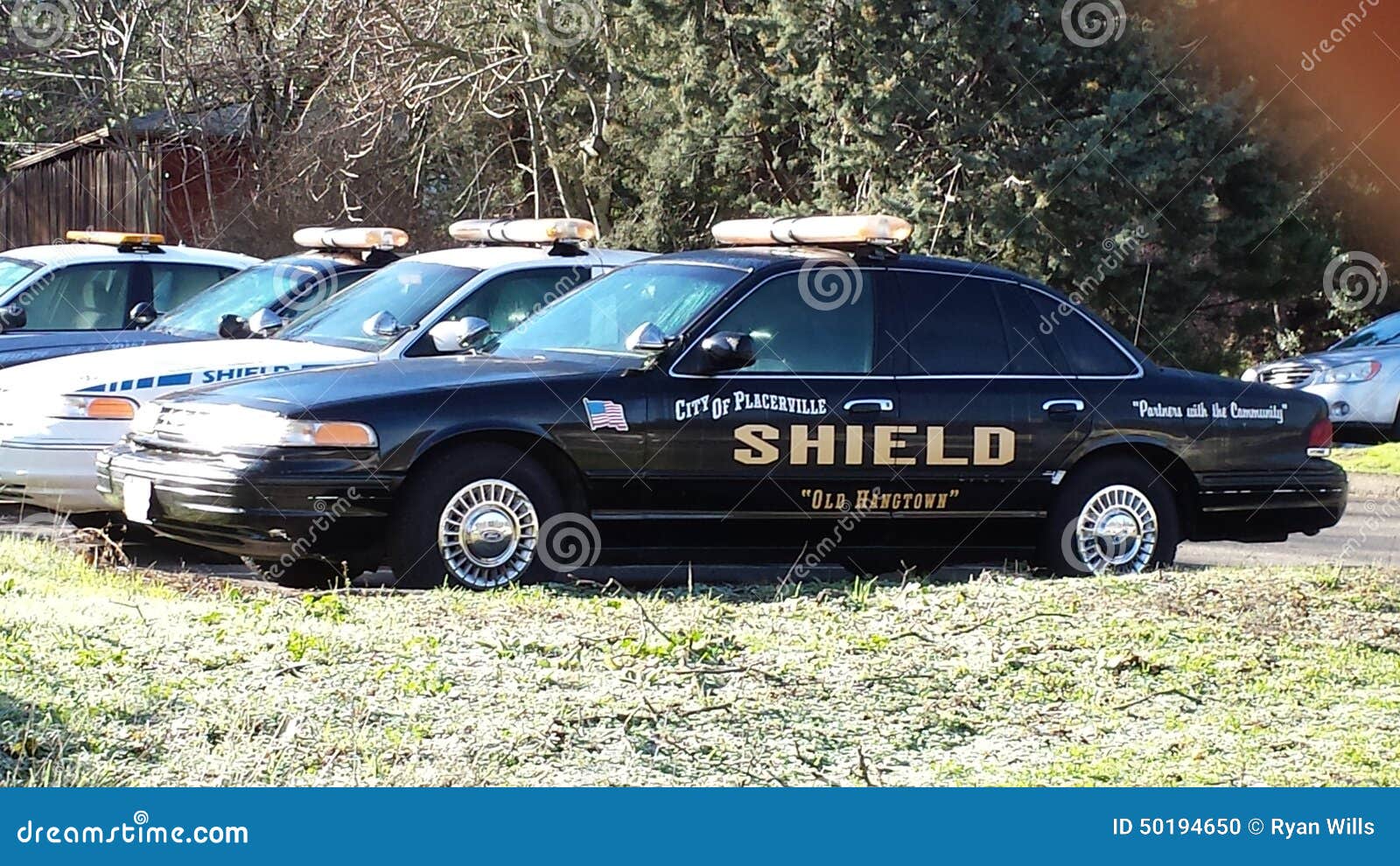 Police cars stock photo. Image of authority, cars, style - 50194650