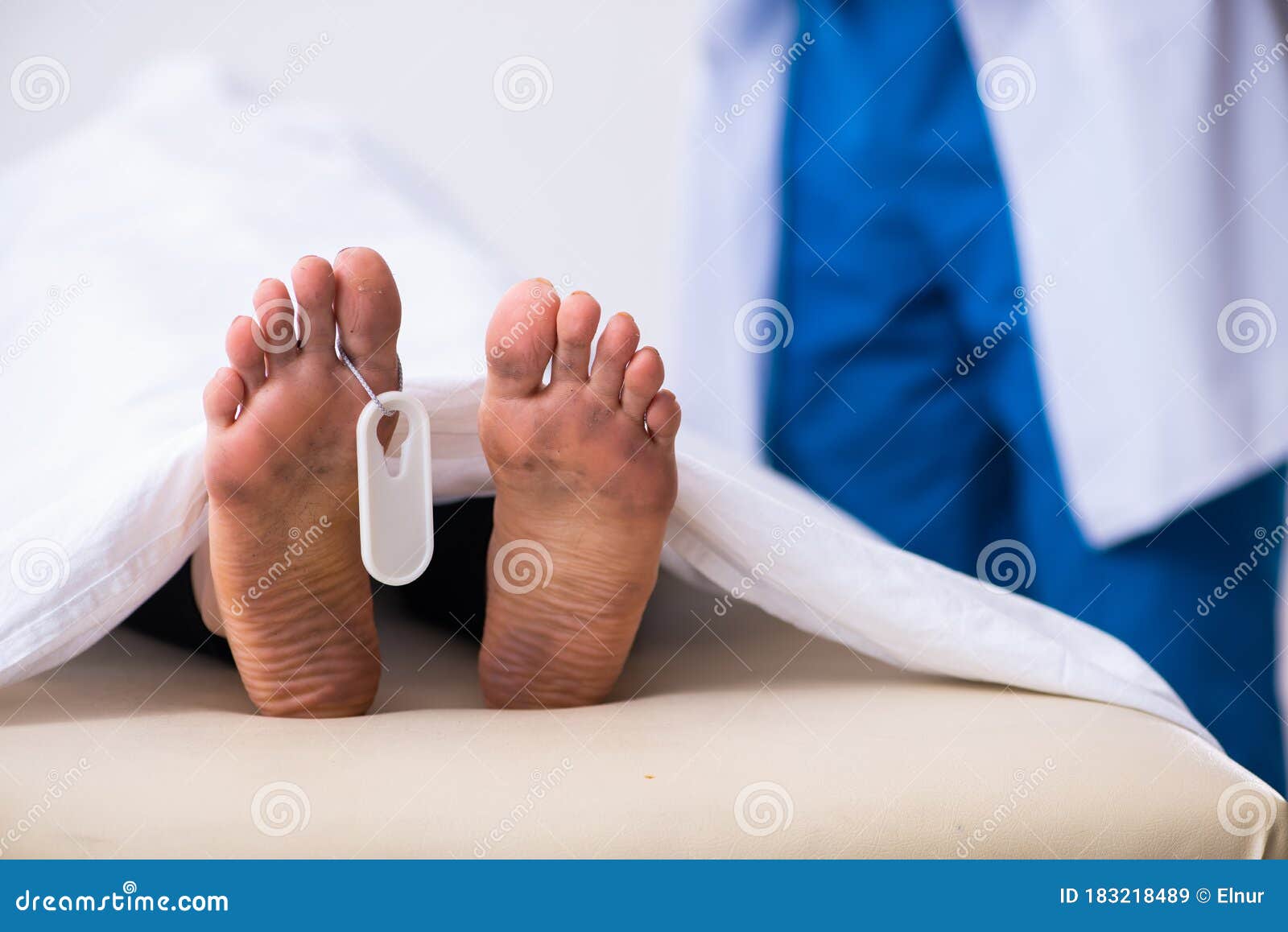 Police Coroner Examining Dead Body Corpse in Morgue Stock Image - Image ...