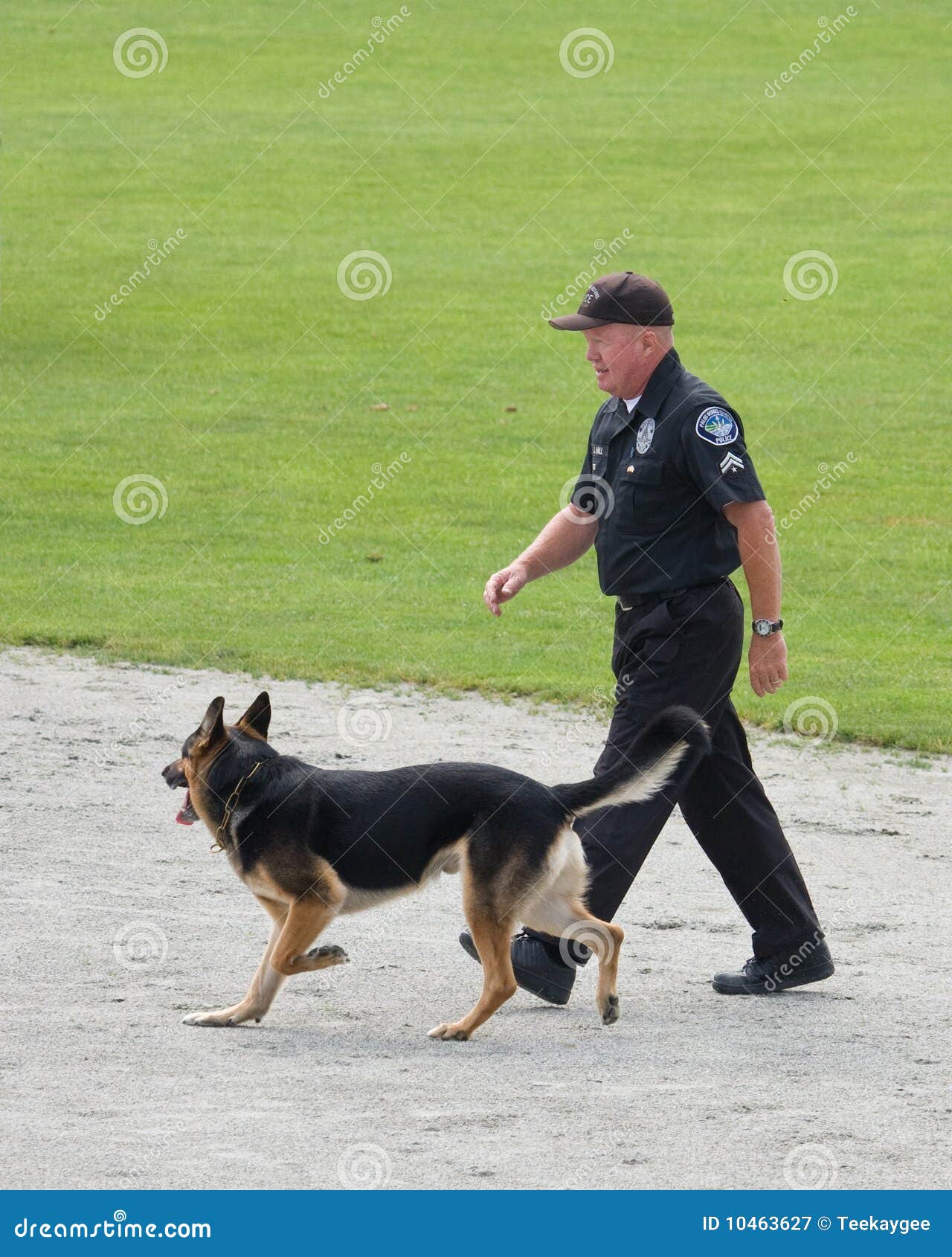 Police dog competition editorial photography. Image of participating ...