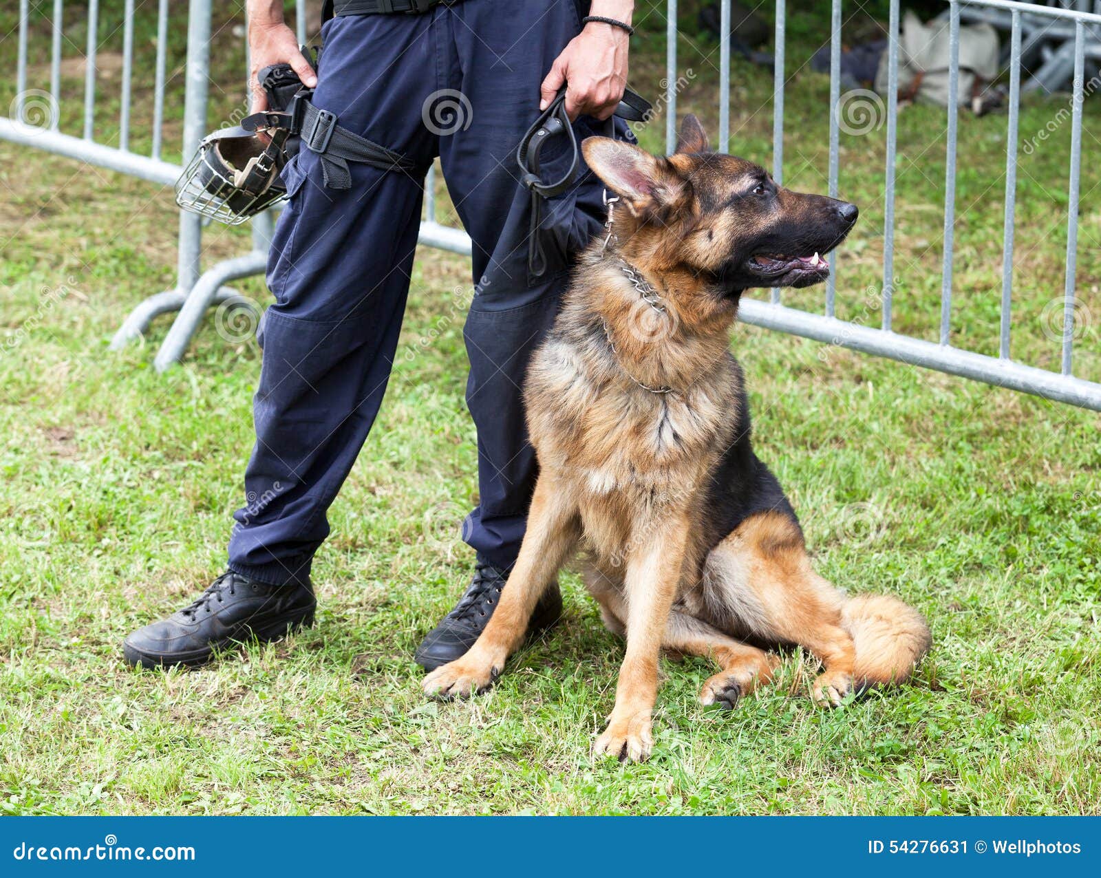 Police dog stock image. Image of guarding, explosives - 54276631