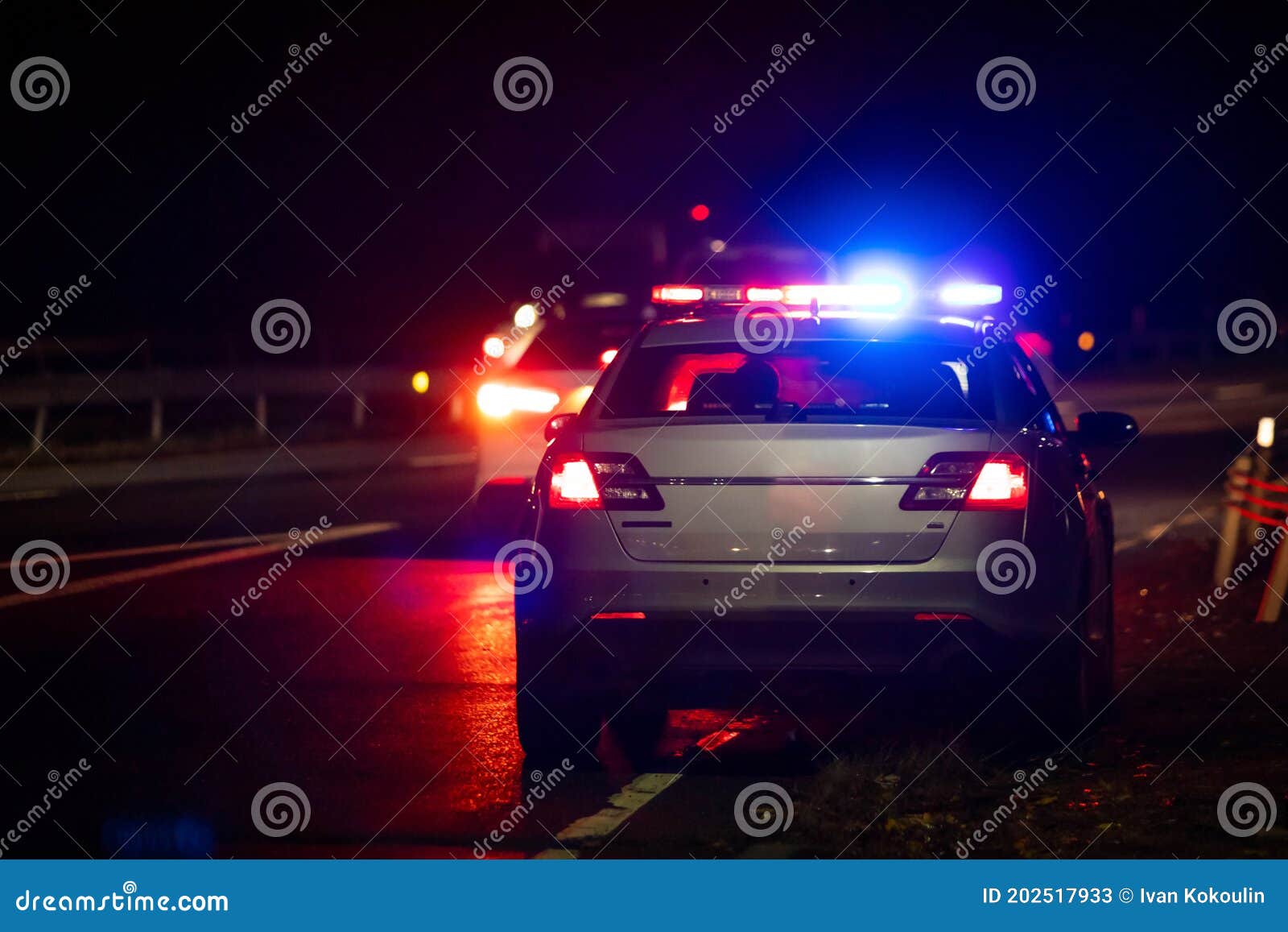 Police Emergency Flash Lights at Night from the Back Stock Image ...