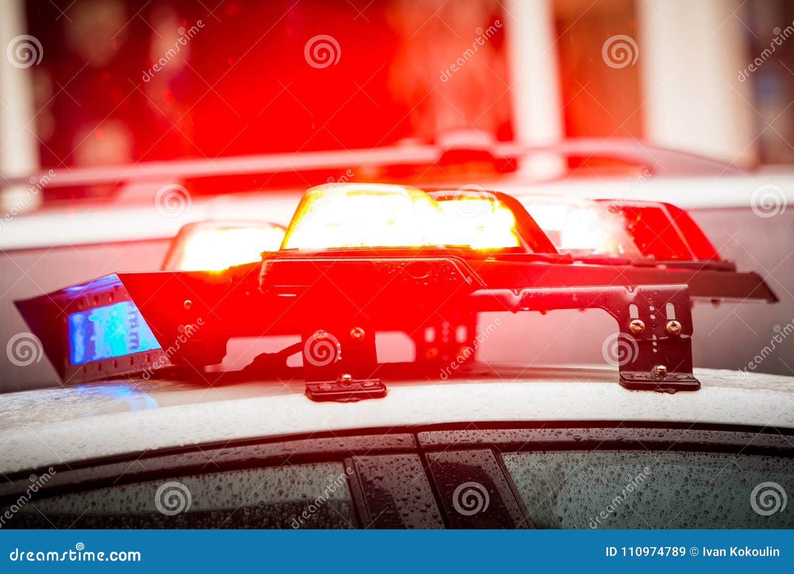 Police Emergency Lights with Warning Text Stock Image - Image of ...