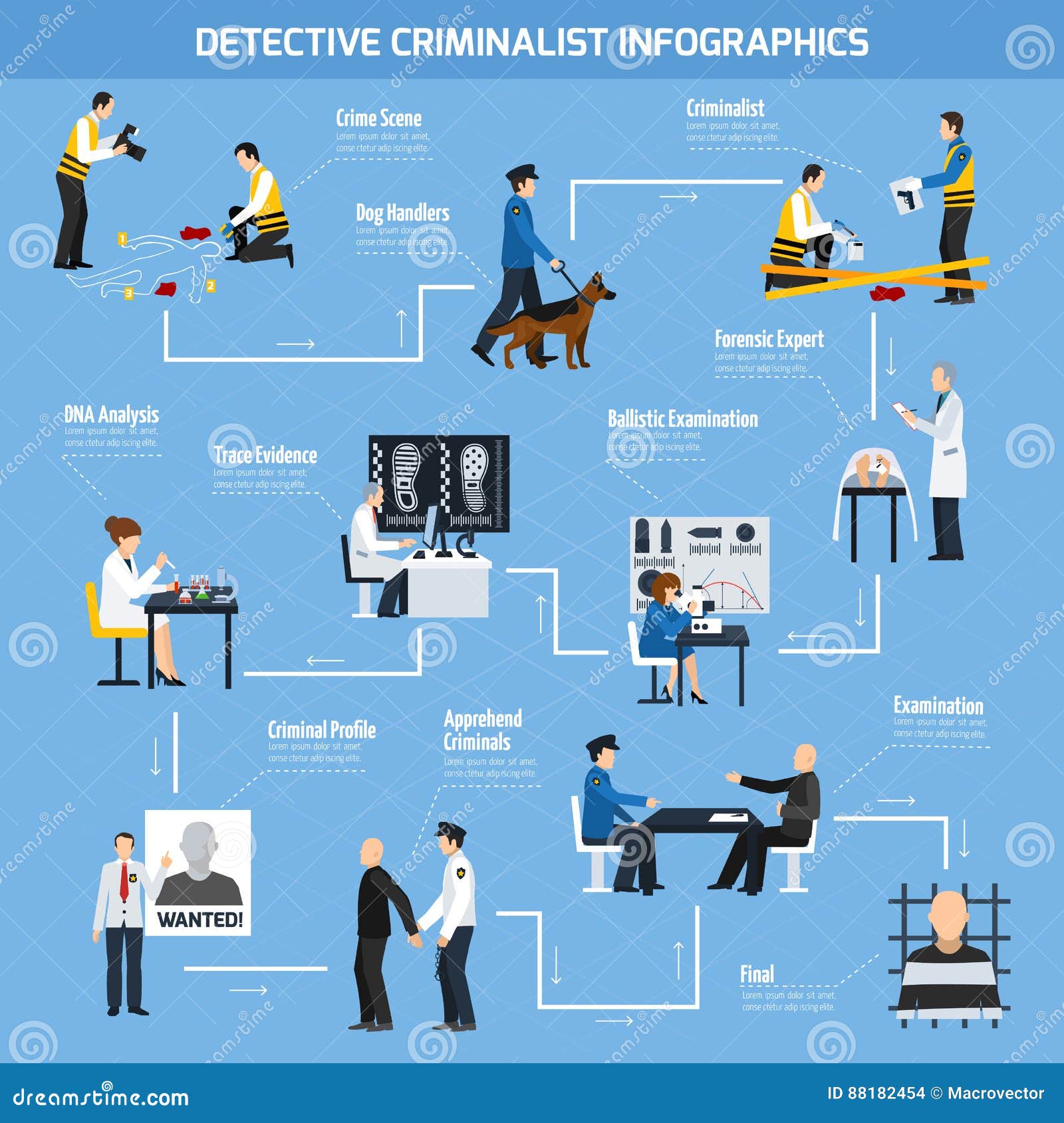 Forensic Or Police Ruler Cartoon Vector | CartoonDealer.com #160777553