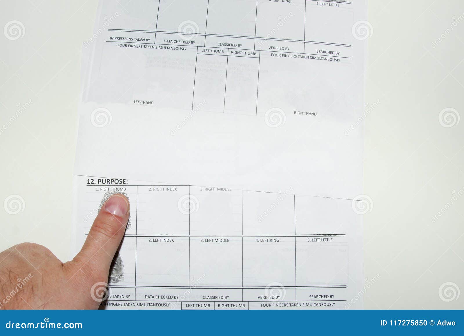 Police Fingerprint Document Stock Photo - Image of police, single ...