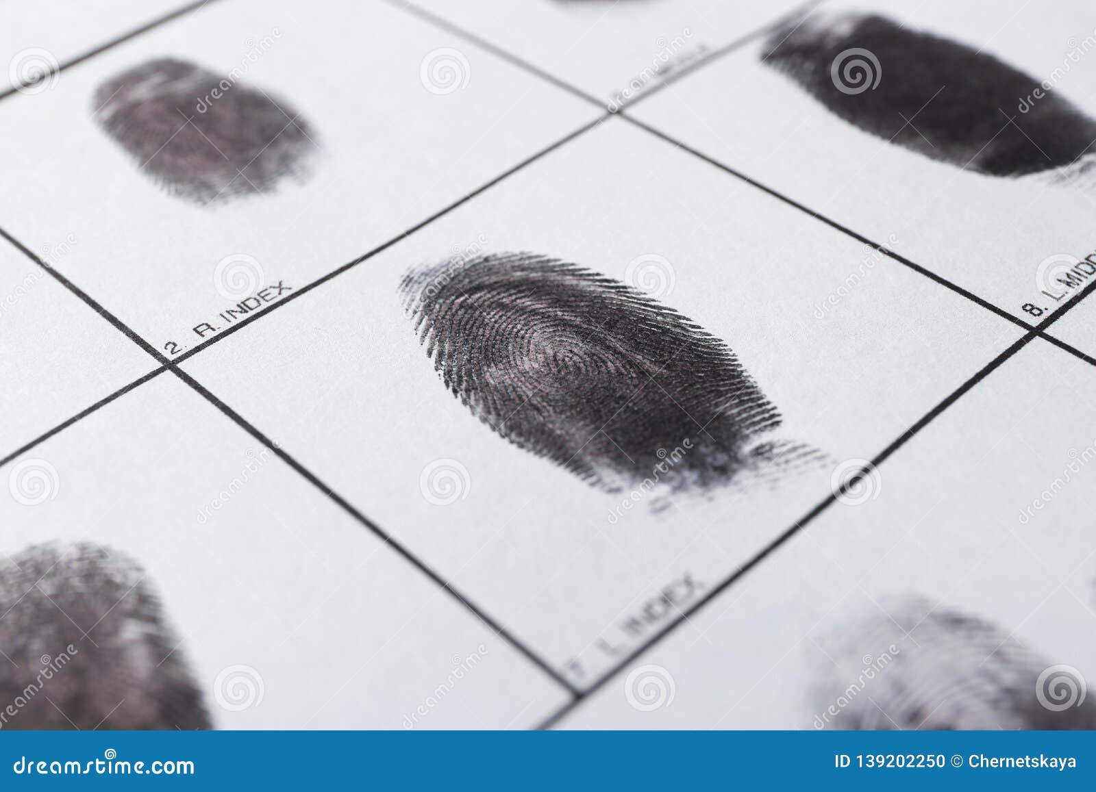Police Form with Fingerprints, Closeup. Stock Photo - Image of form ...