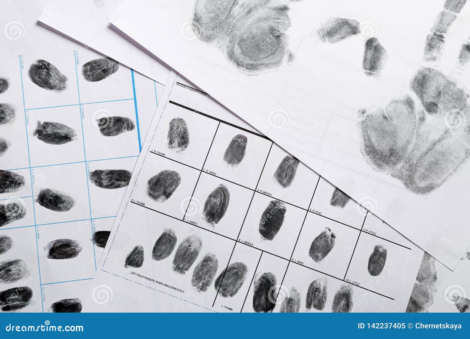 Police Forms with Fingerprints, Top View Stock Image - Image of card ...
