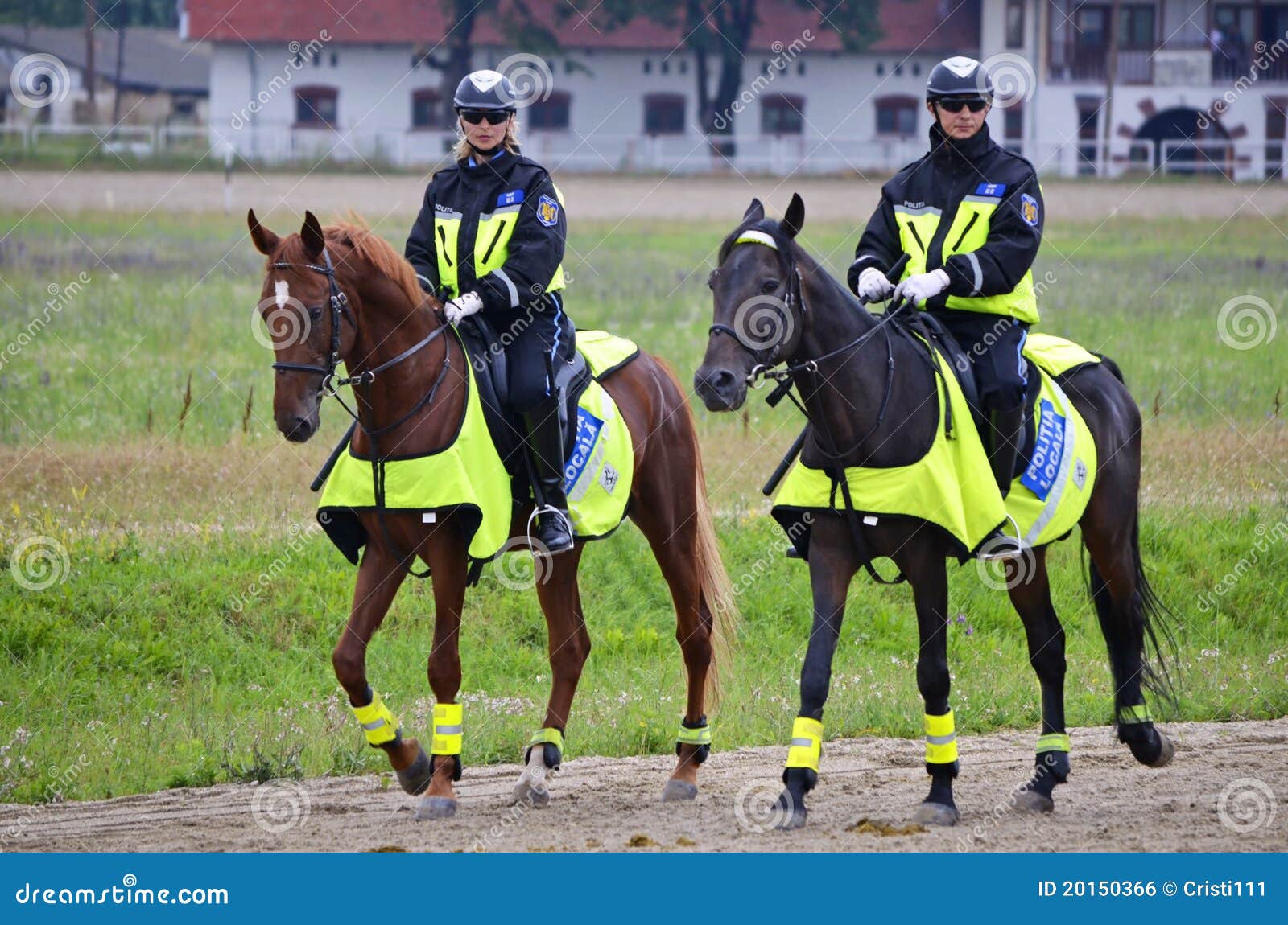 Police on hippo editorial photo. Image of love, race - 20150366