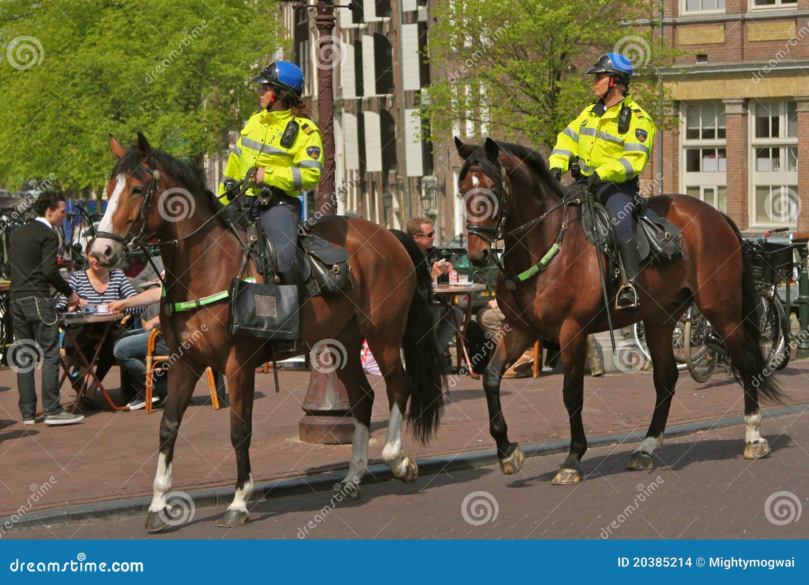 Police on horse editorial stock image. Image of bright - 20385214