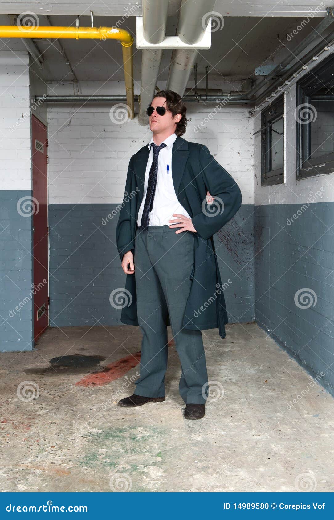 Police Lieutenant stock photo. Image of lieutenant, cliche - 14989580