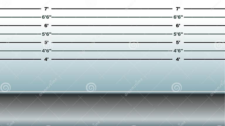 Police Line Up stock vector. Illustration of height, identity - 11338393