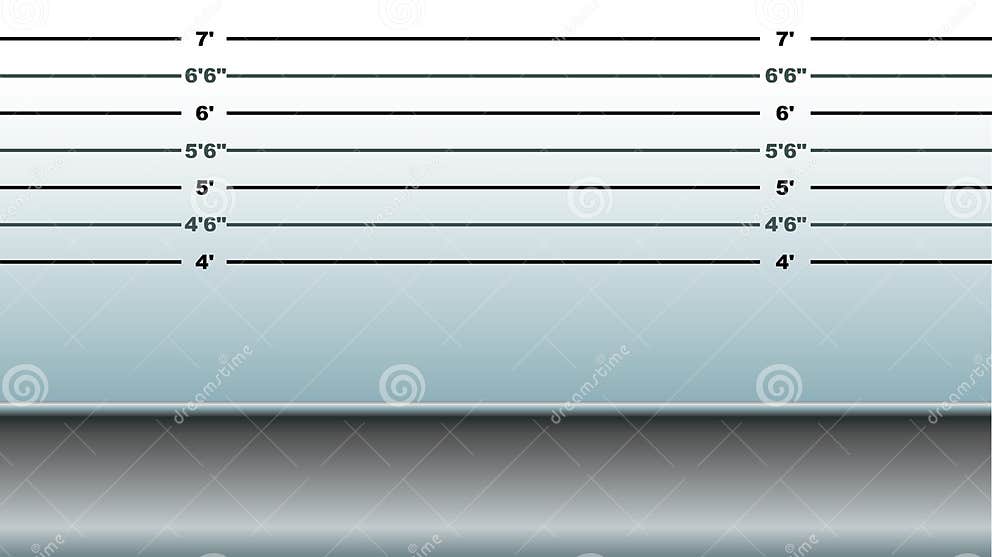 Police Line Up stock vector. Illustration of height, identity - 11338393