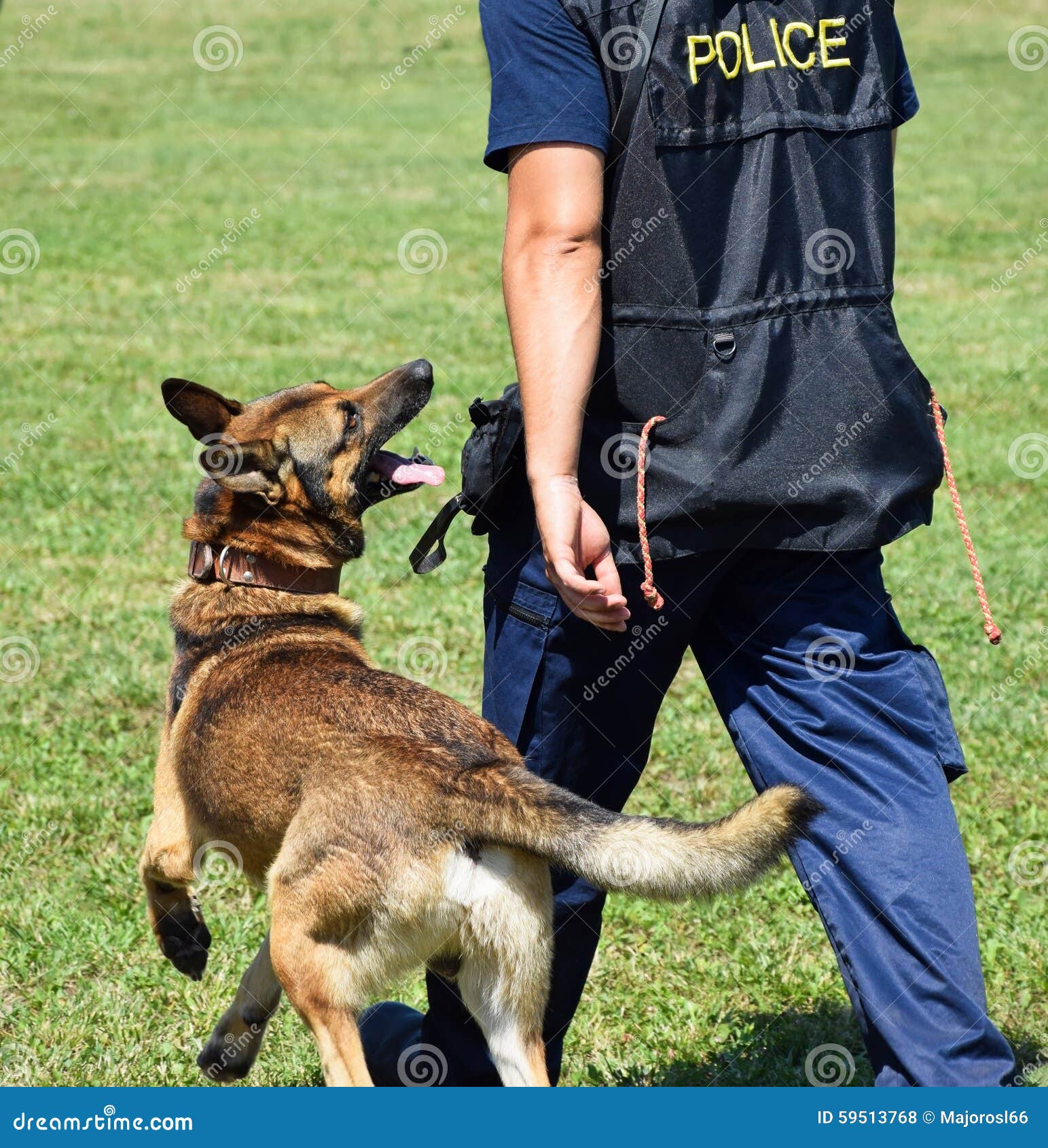 Police man with his dog stock photo. Image of police - 59513768