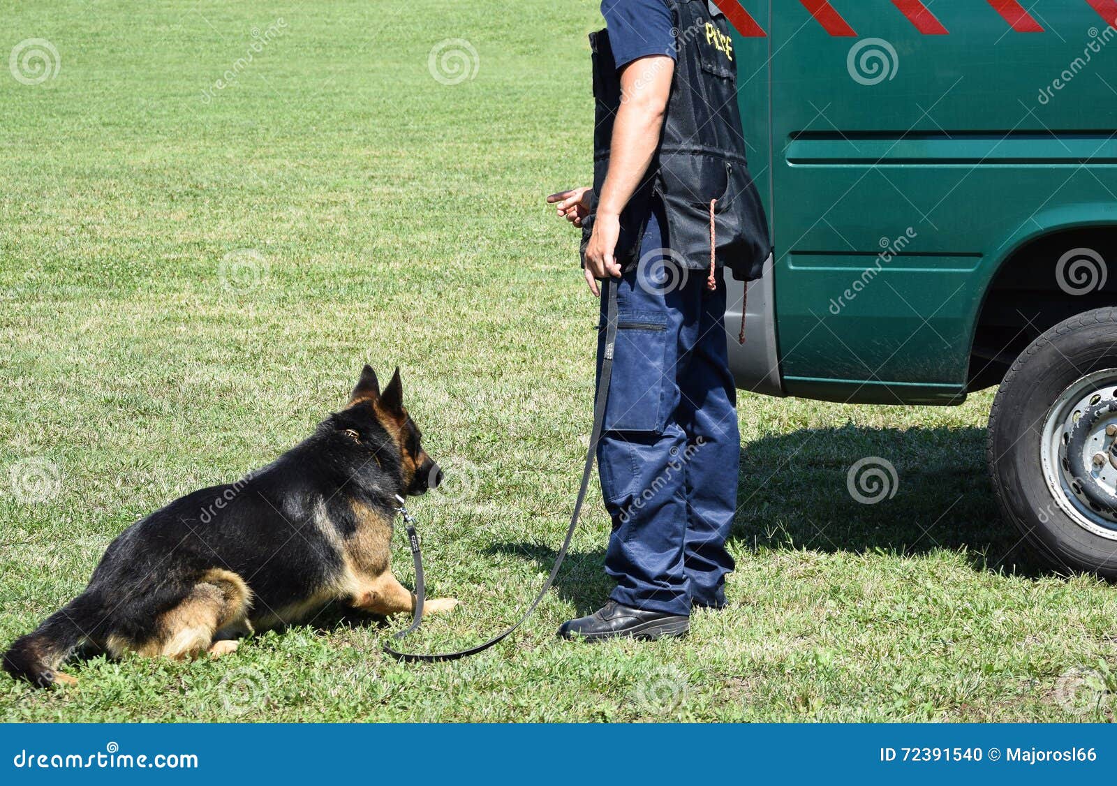 Police man with his dog stock photo. Image of uniform - 72391540