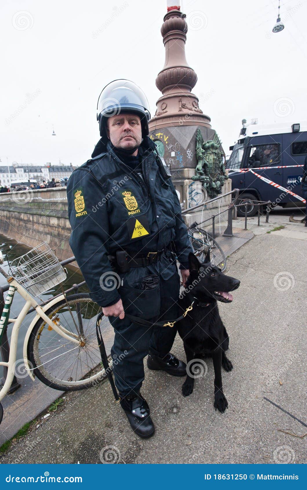 Police Officer in Copenhagen Editorial Image - Image of serious, riot ...